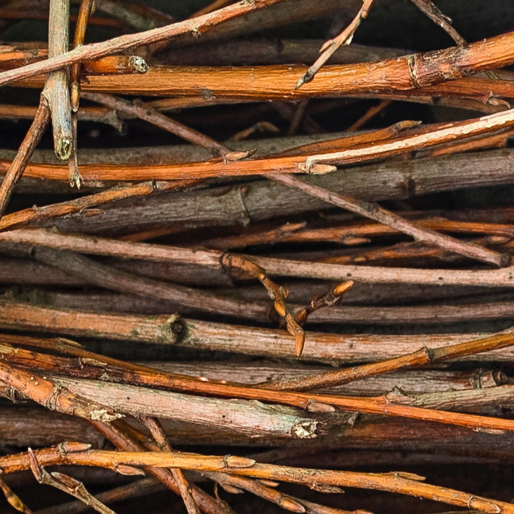 Grene - Ressourceportal.dk